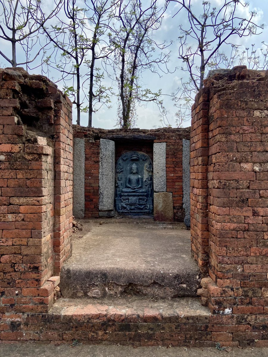 MagadhX₿T's Threads – Thread Reader App