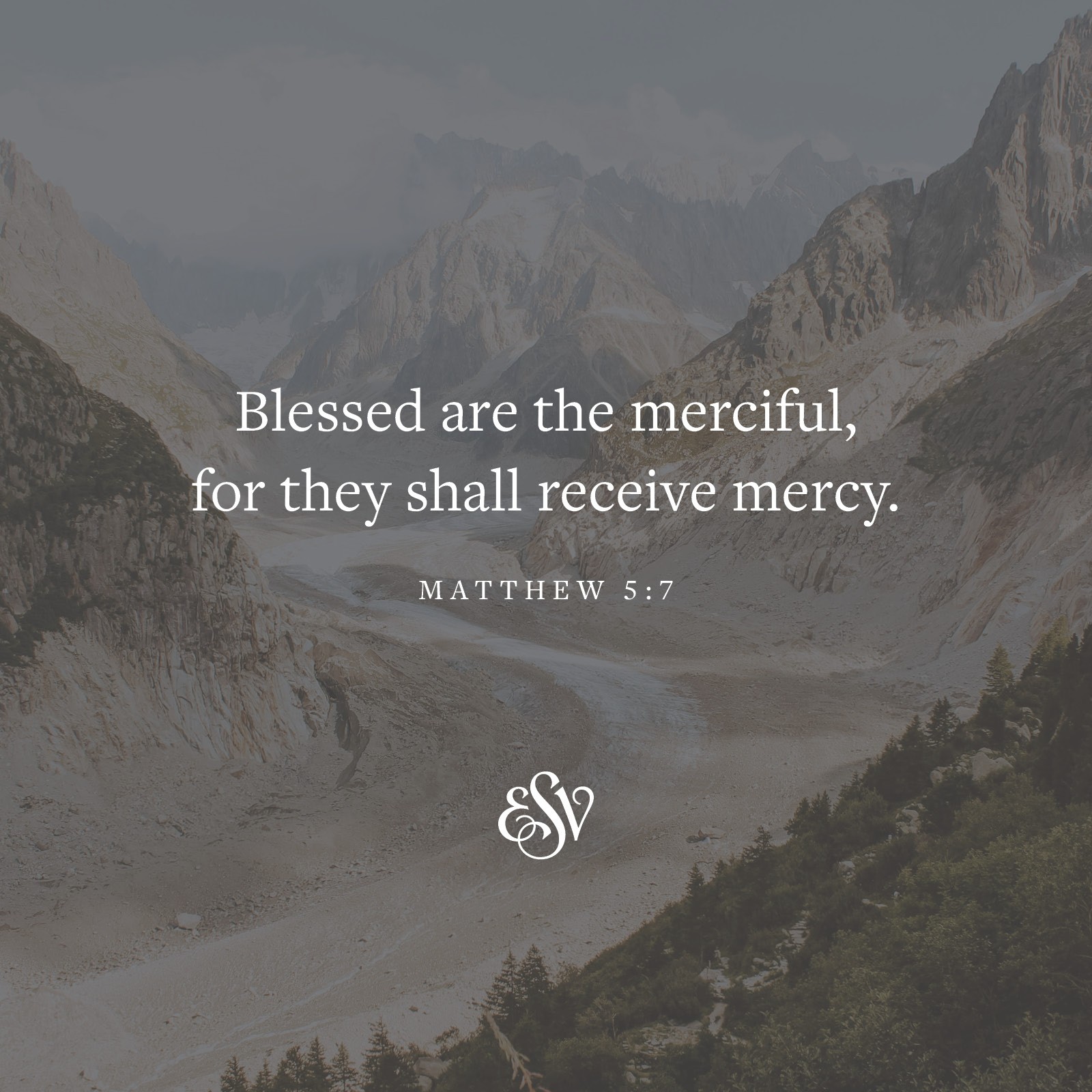 Blessed Are The Merciful For They Shall Obtain Mercy Weekly Truth