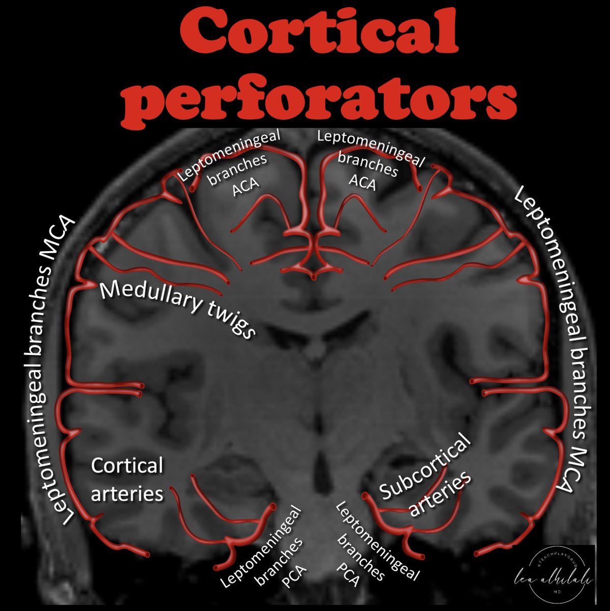 Thread by @teachplaygrub on Thread Reader App – Thread Reader App