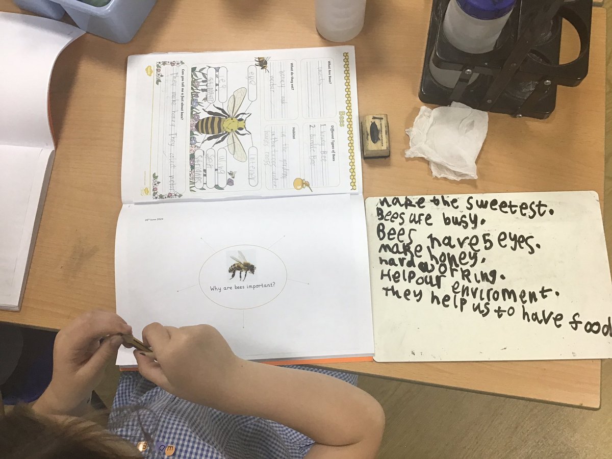 Bee, Definition, Types, & Facts - verloop.io