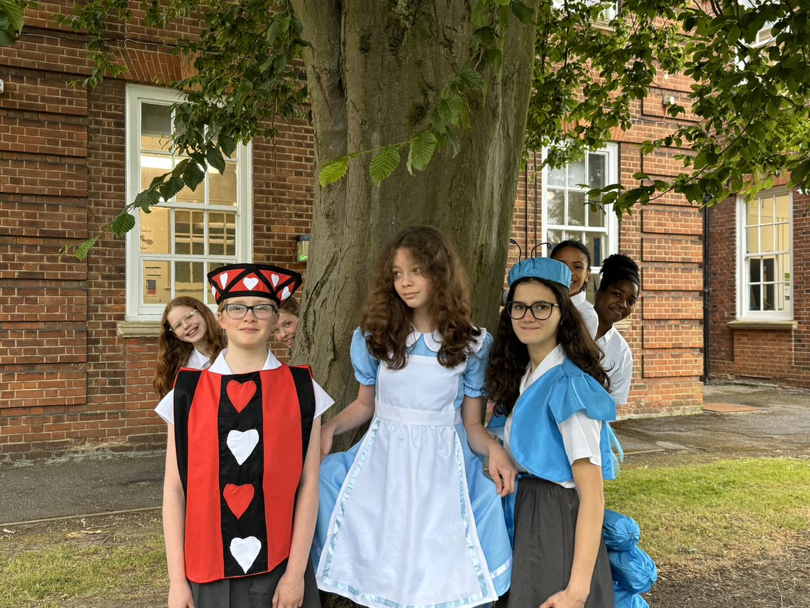 Harris Girls' Academy Bromley - Harris Girls' Academy Bromley