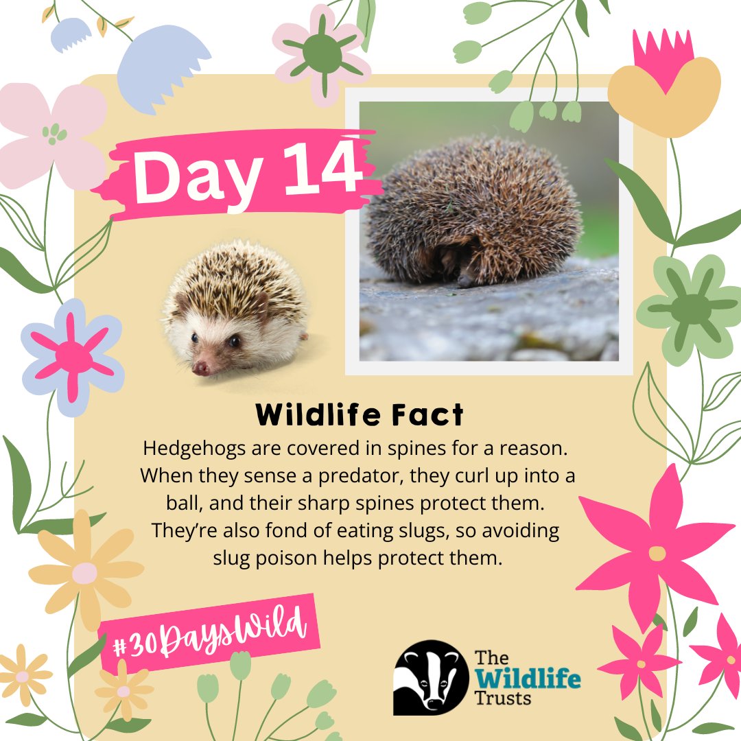 Welcome to The Sandon School