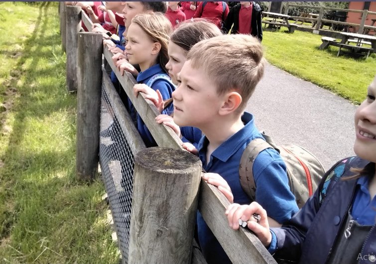 News Blog - Rockland St. Mary and Surlingham Primary Schools