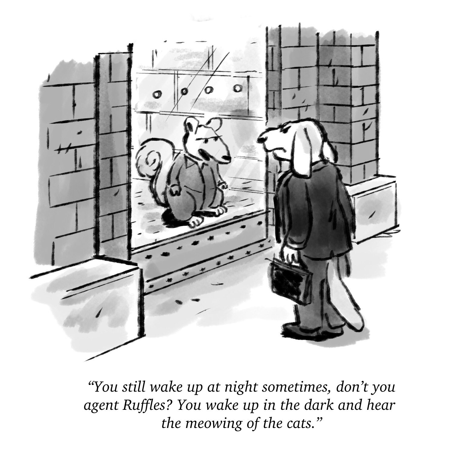 Evil Squirrel Drawing Evil Squirrel Gif GIFs | Tenor