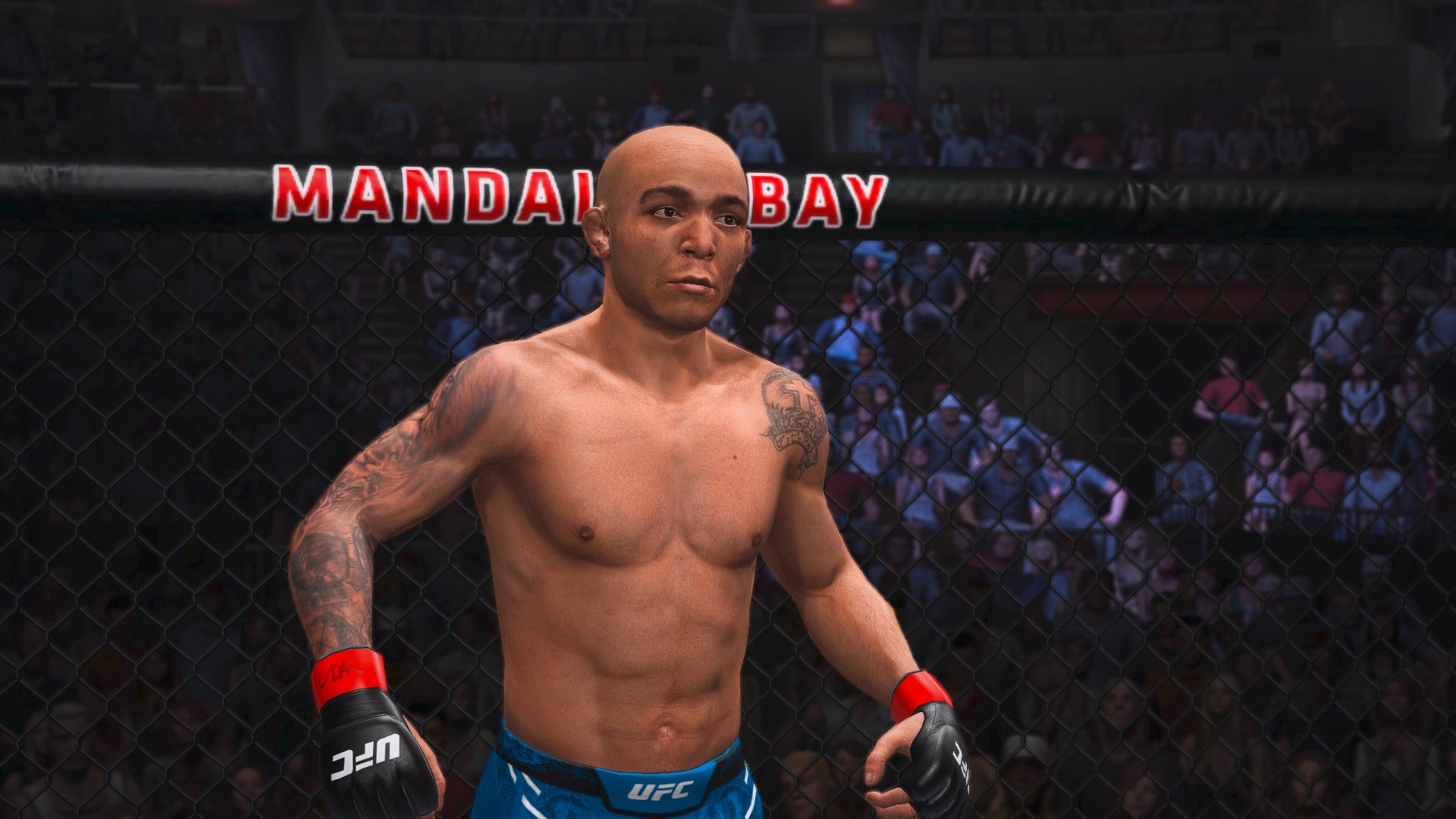 Ufc Undisputed Tattoos