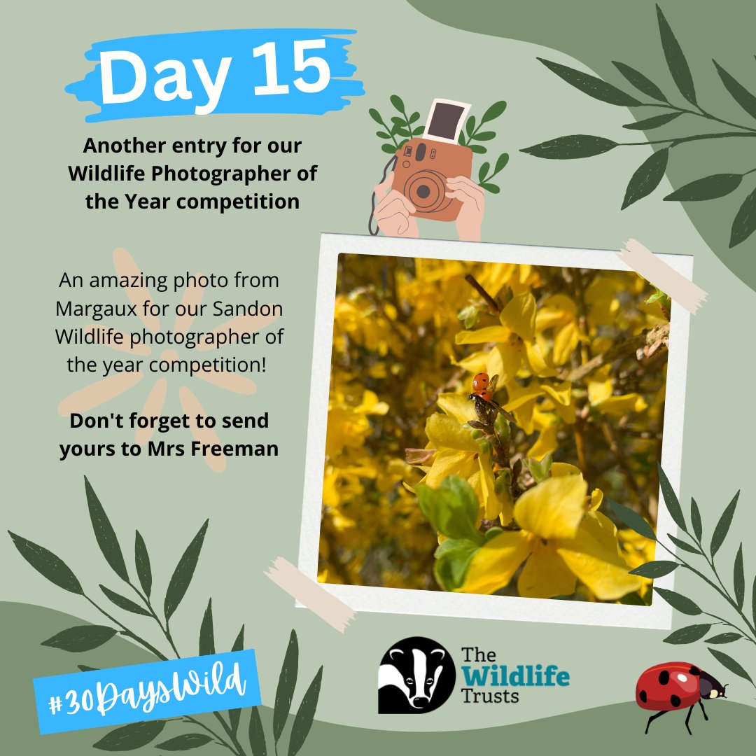 Welcome to The Sandon School