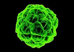 Thread by @NotTheMacAnon1 on Thread Reader App – Thread Reader App