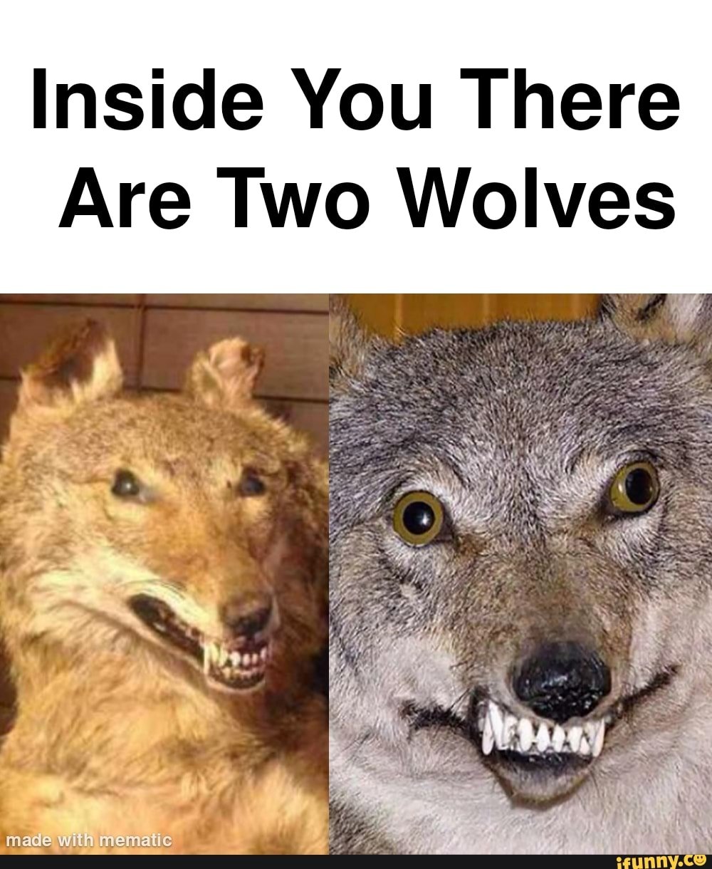 Angry Werewolf Memes