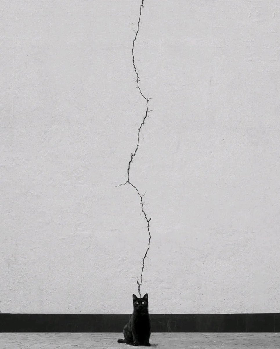 Thread of photos that could be album covers 1. Oko by Marko Popadic ...