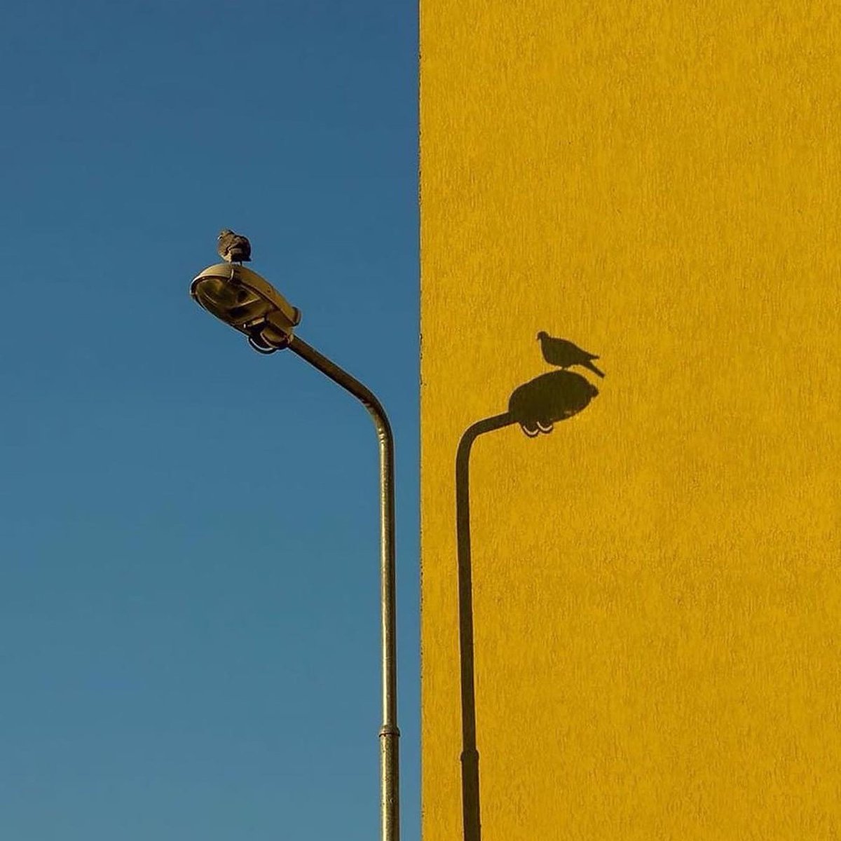 Thread of photos that could be album covers 1. Oko by Marko Popadic ...