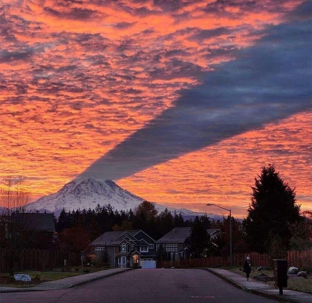 Thread of photos that could be album covers 1. Oko by Marko Popadic ...