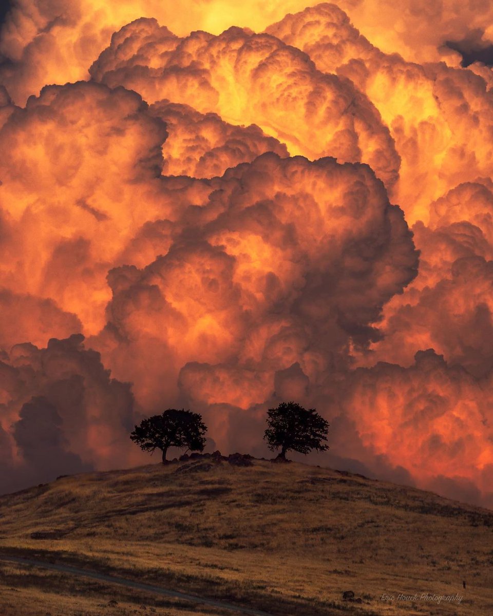 Thread of photos that could be album covers 1. Oko by Marko Popadic ...