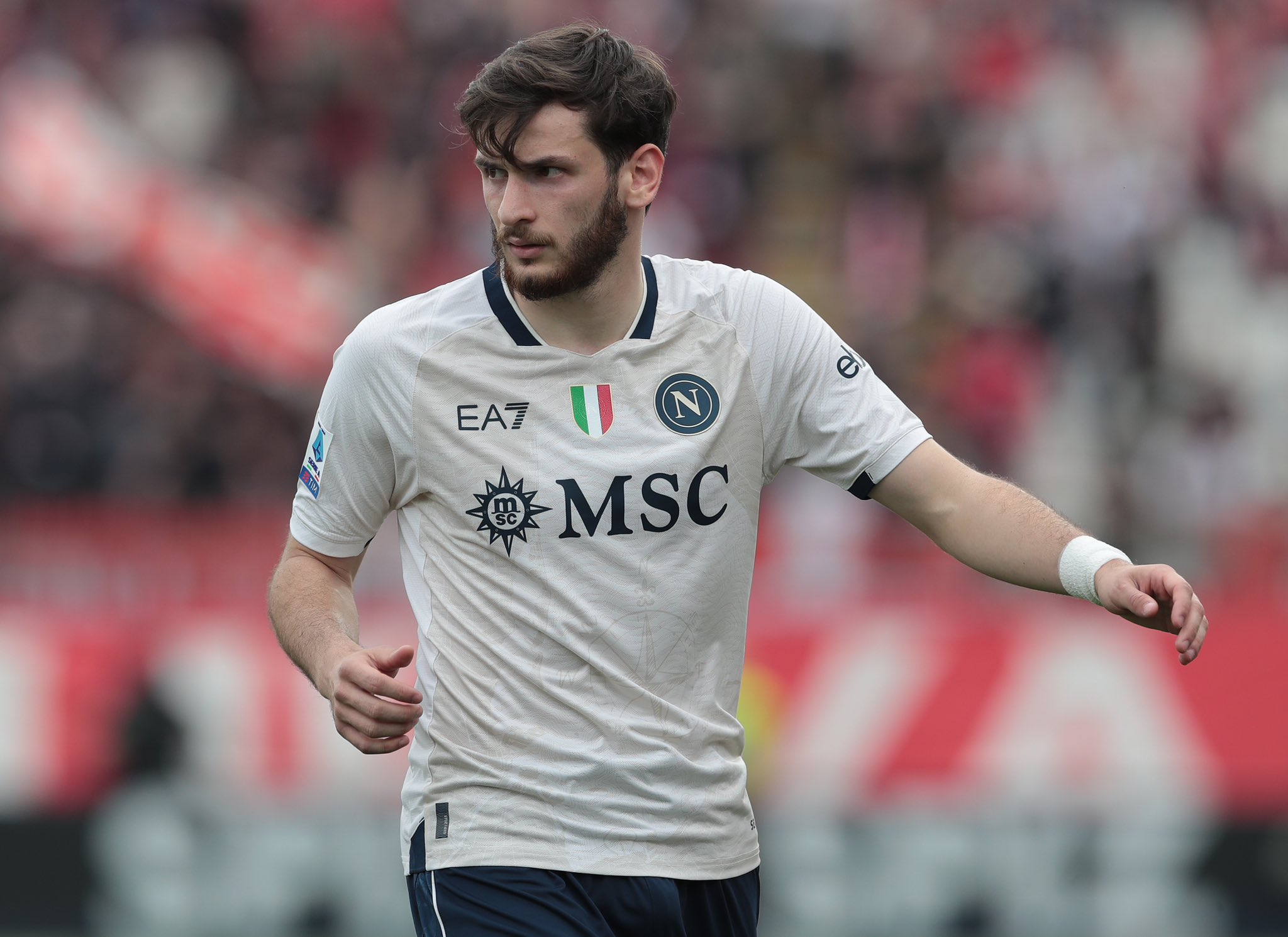 Agrifoglio Conte 2024