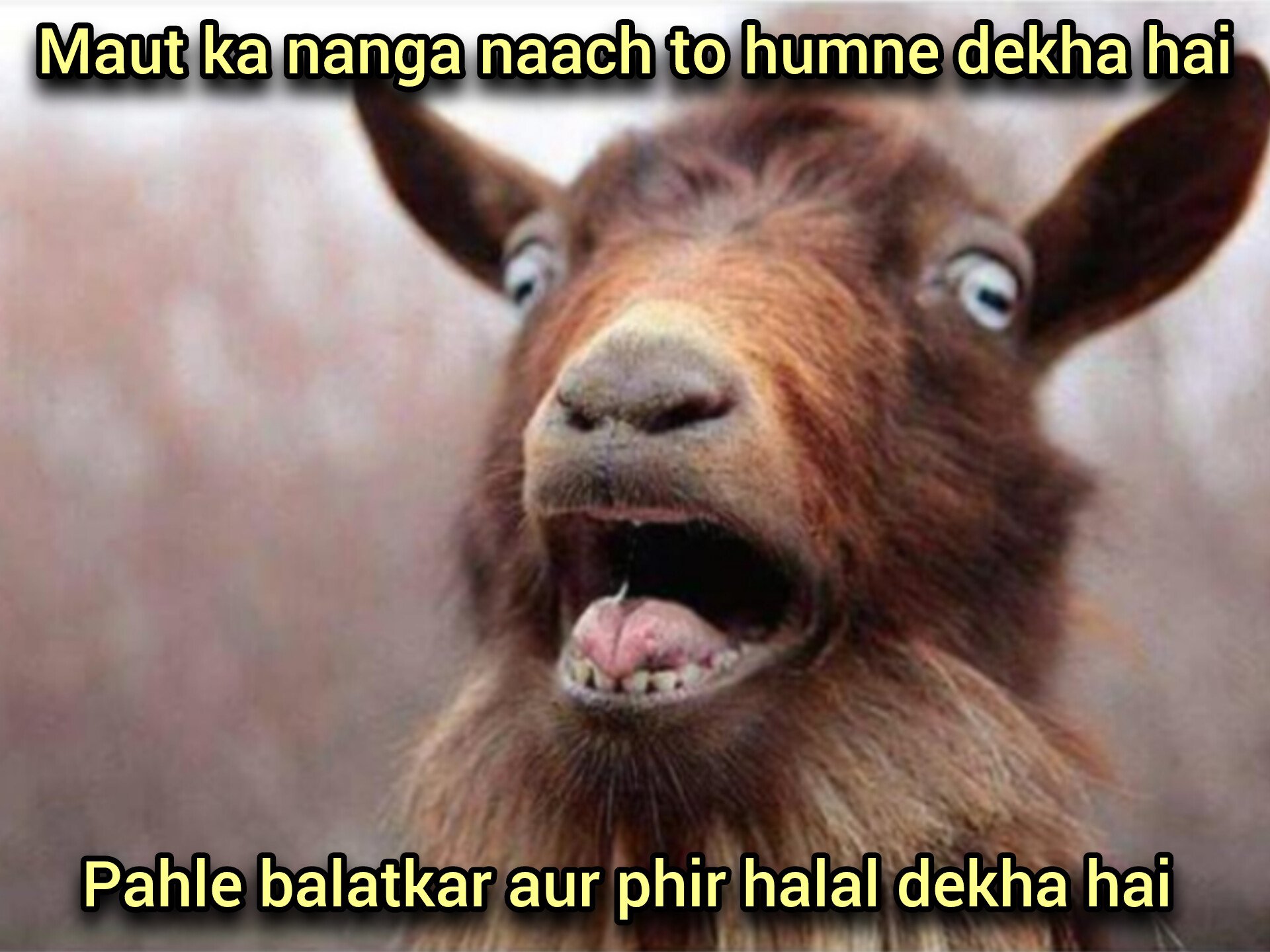 Islam Goat Memes