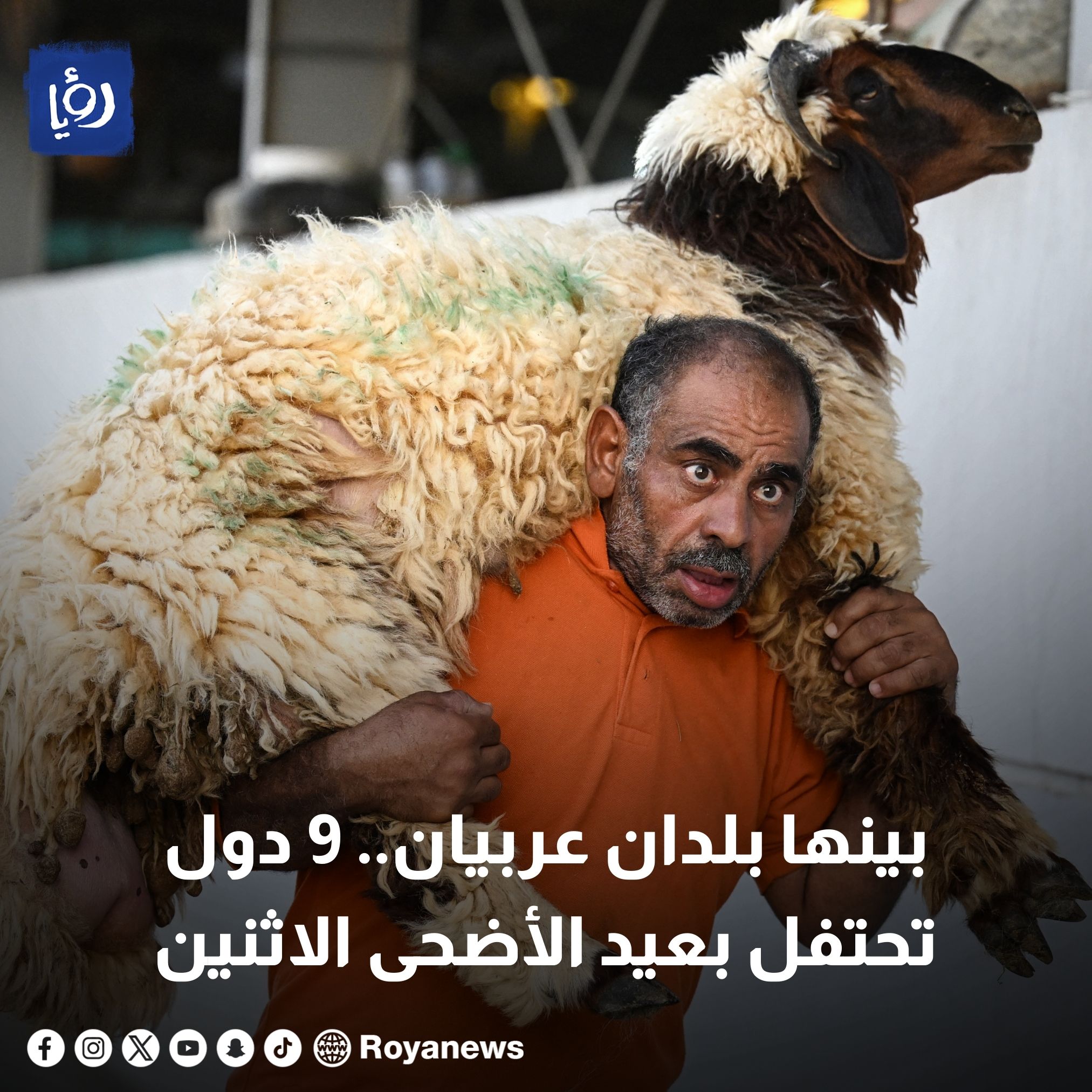 رؤيا الإخباري بينها بلدان عربيان 9 دول تحتفل بعيد الأضحى الاثنين