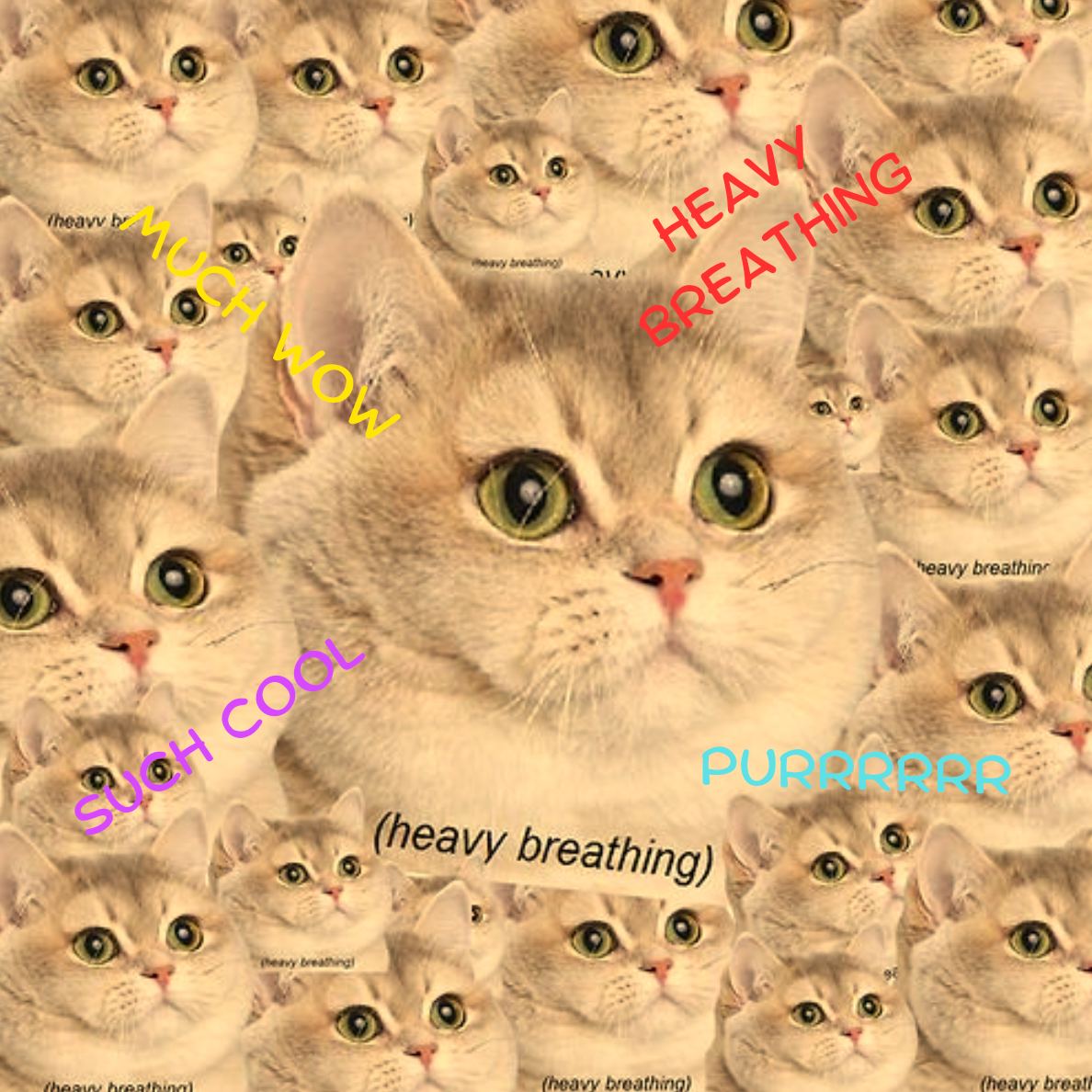 Heavy Breathing Intensifies Cat Meme