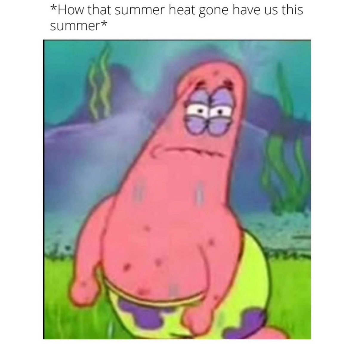 Patrick Star Arch Memes Patrick Star | All Of The Above | Instagram