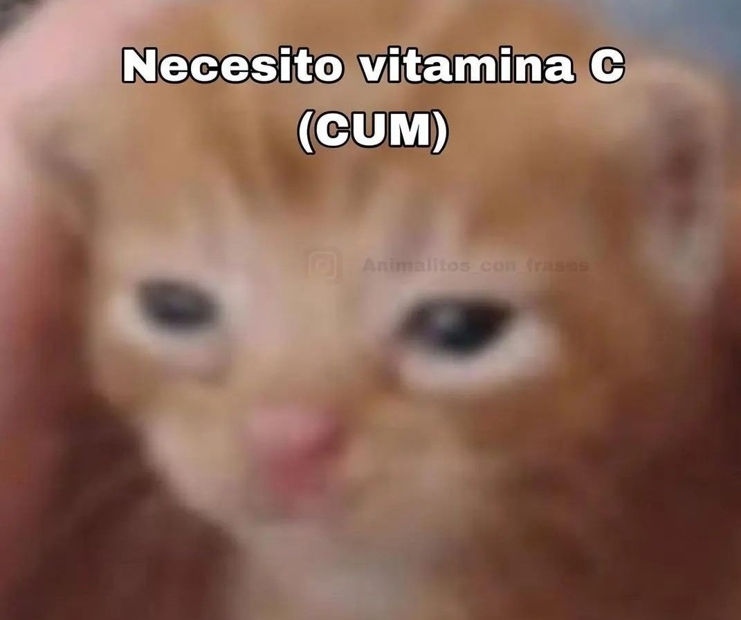 Memes De Vitamina VITAMINA DE BETERRABA @rotinadajany4485