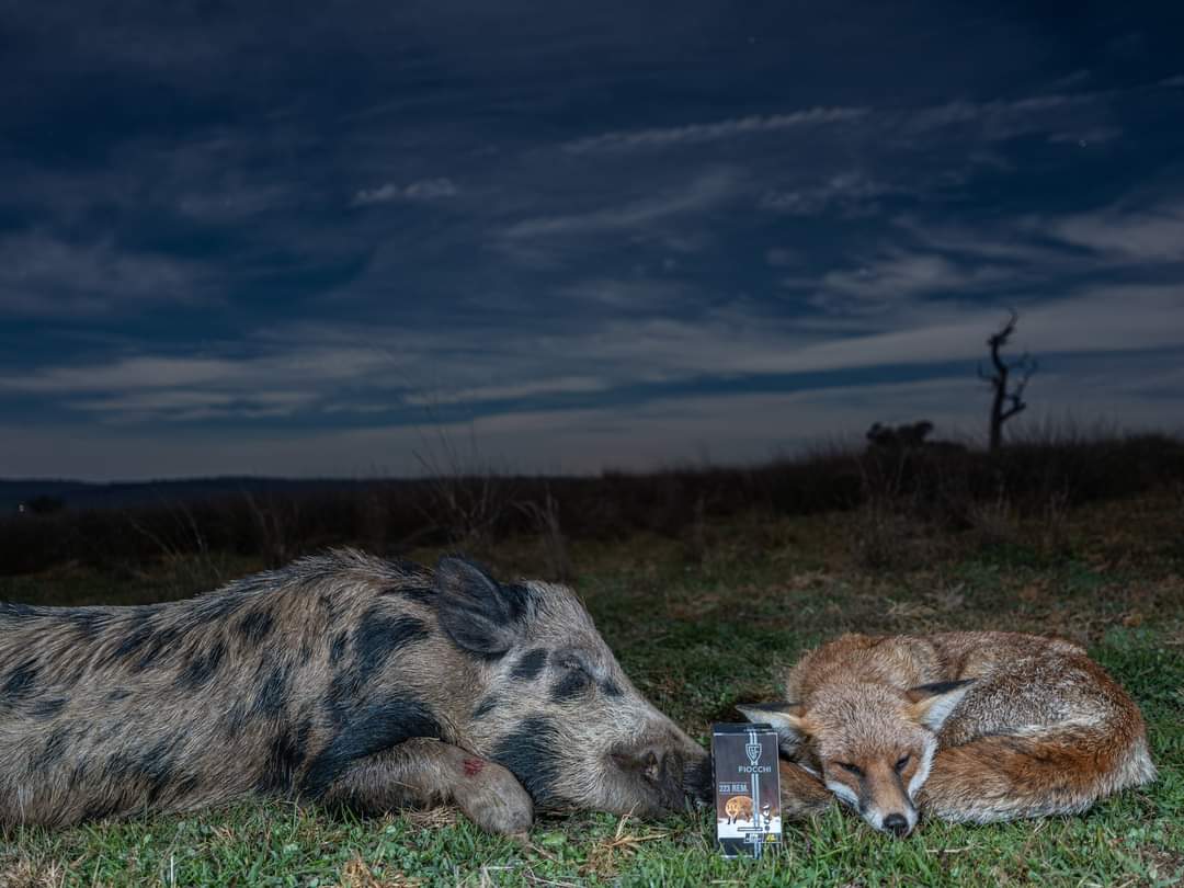 EDGE of the OUTBACK (@EDGEofthOUTBACK) / Posts / X
