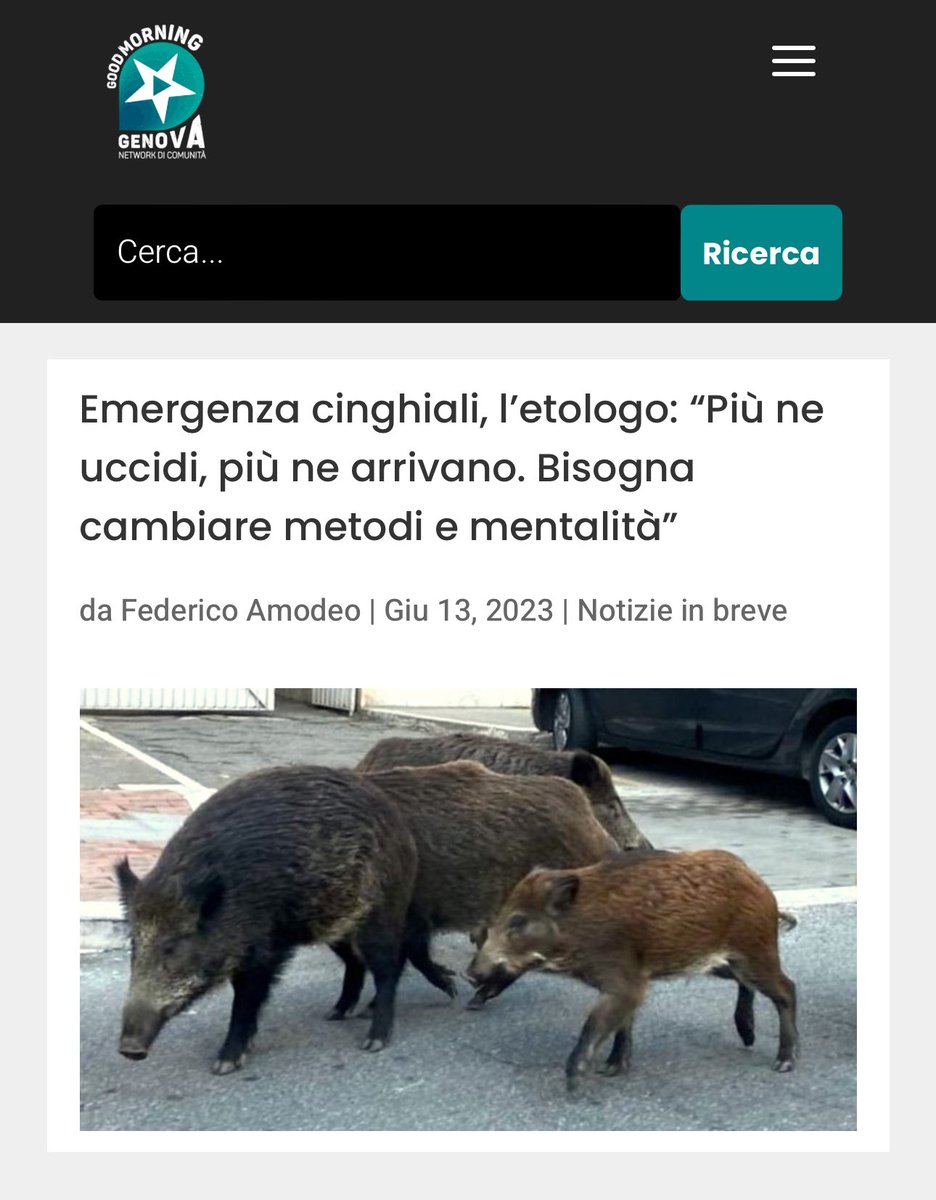 Thread by @Eran_Efrat on Thread Reader App – Thread Reader App