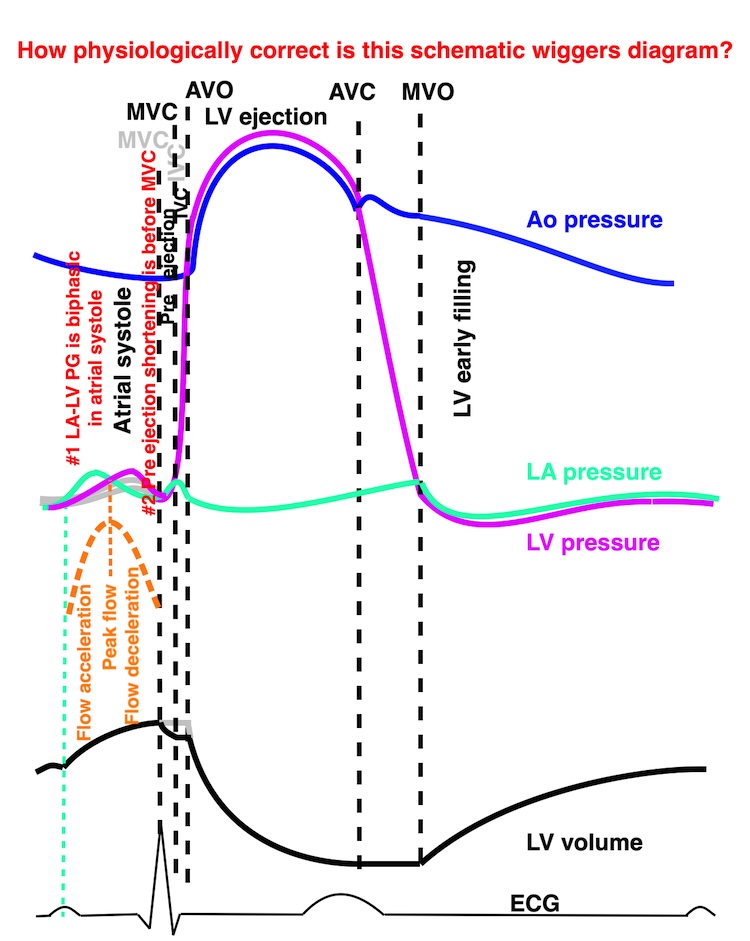 🧵On the Wiggers diagram. It is an illustration of temporal relations of ...