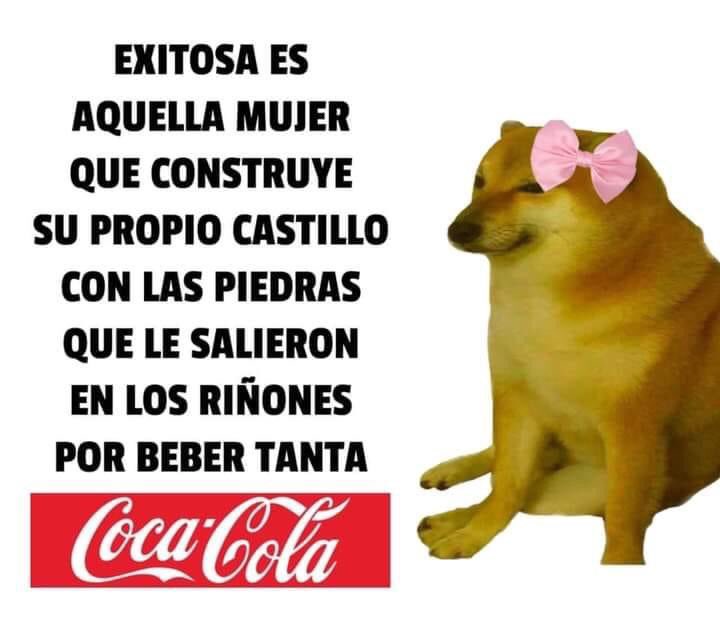 Exitosas Memes Intelligente Tomar Riesgos Te Hace Exitosa Good Guy