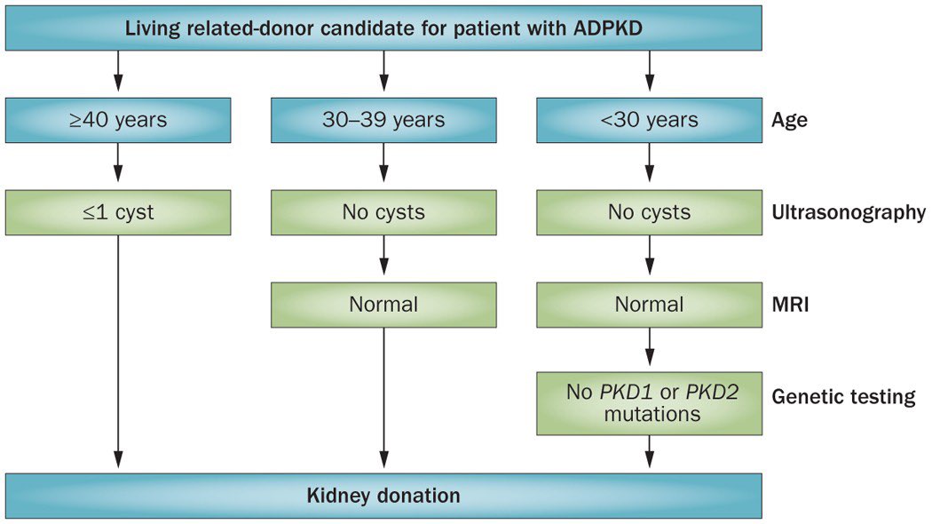 Summary of Evaluation of the Living Kidney Donor Candidate (LKD) # ...