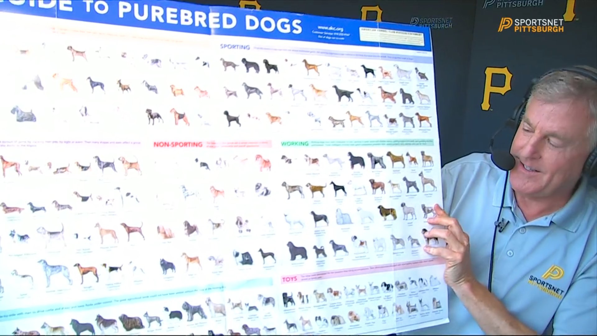 Guide To Purebred Dogs Poster
