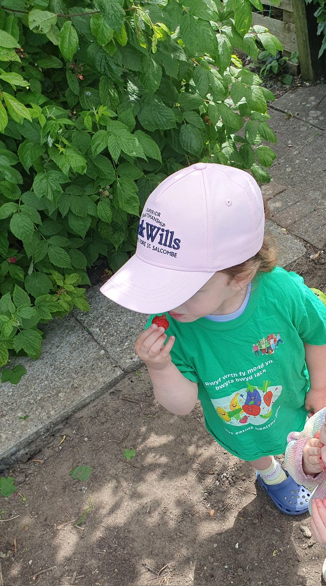 Refill Wales - Move More Eat Well