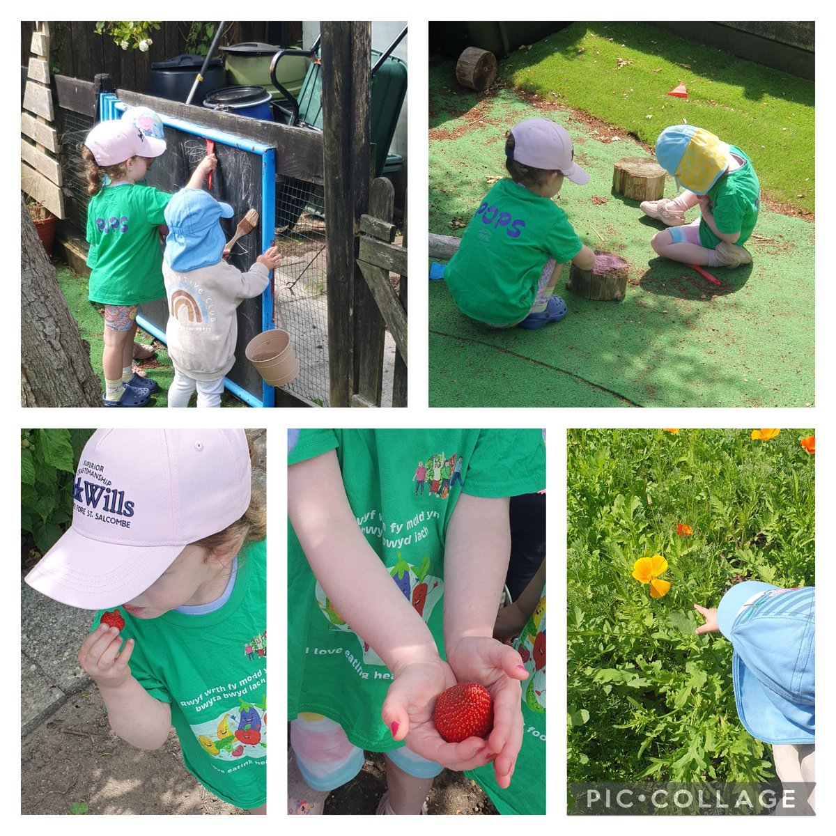 Refill Wales - Move More Eat Well