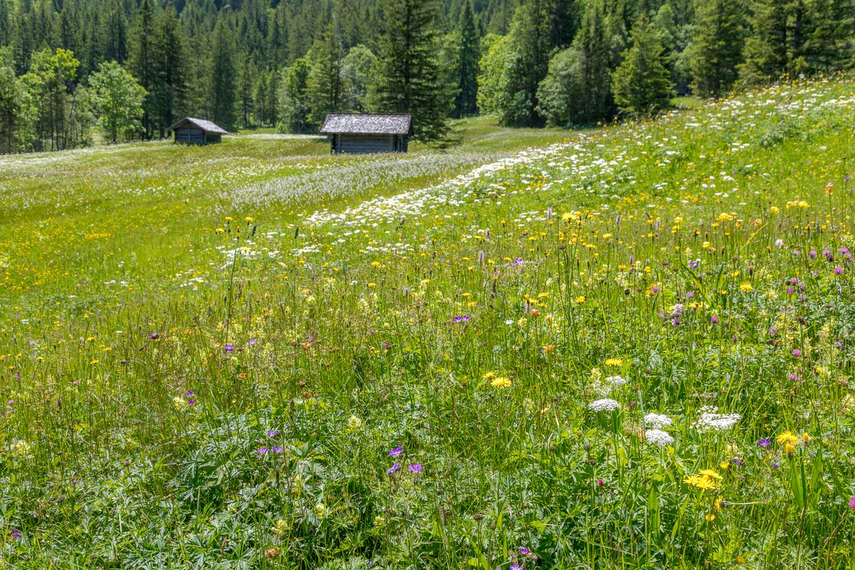 Scale Hill Archives – Andrews Walks