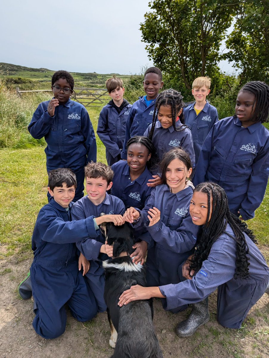 Reception Year Intake 2024-2025 - Harris Primary Academy Kent House