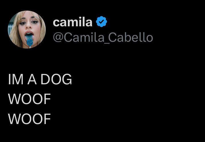 Camila Cabello Memes