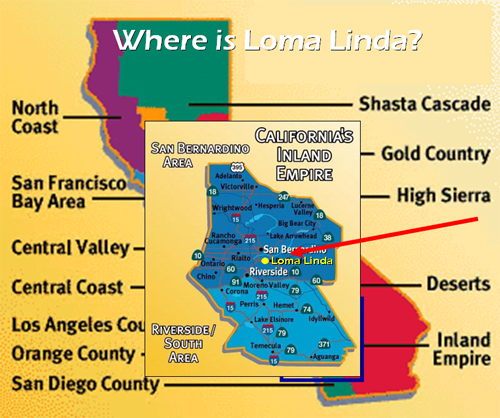 Thread by @morellifit on Thread Reader App – Thread Reader App