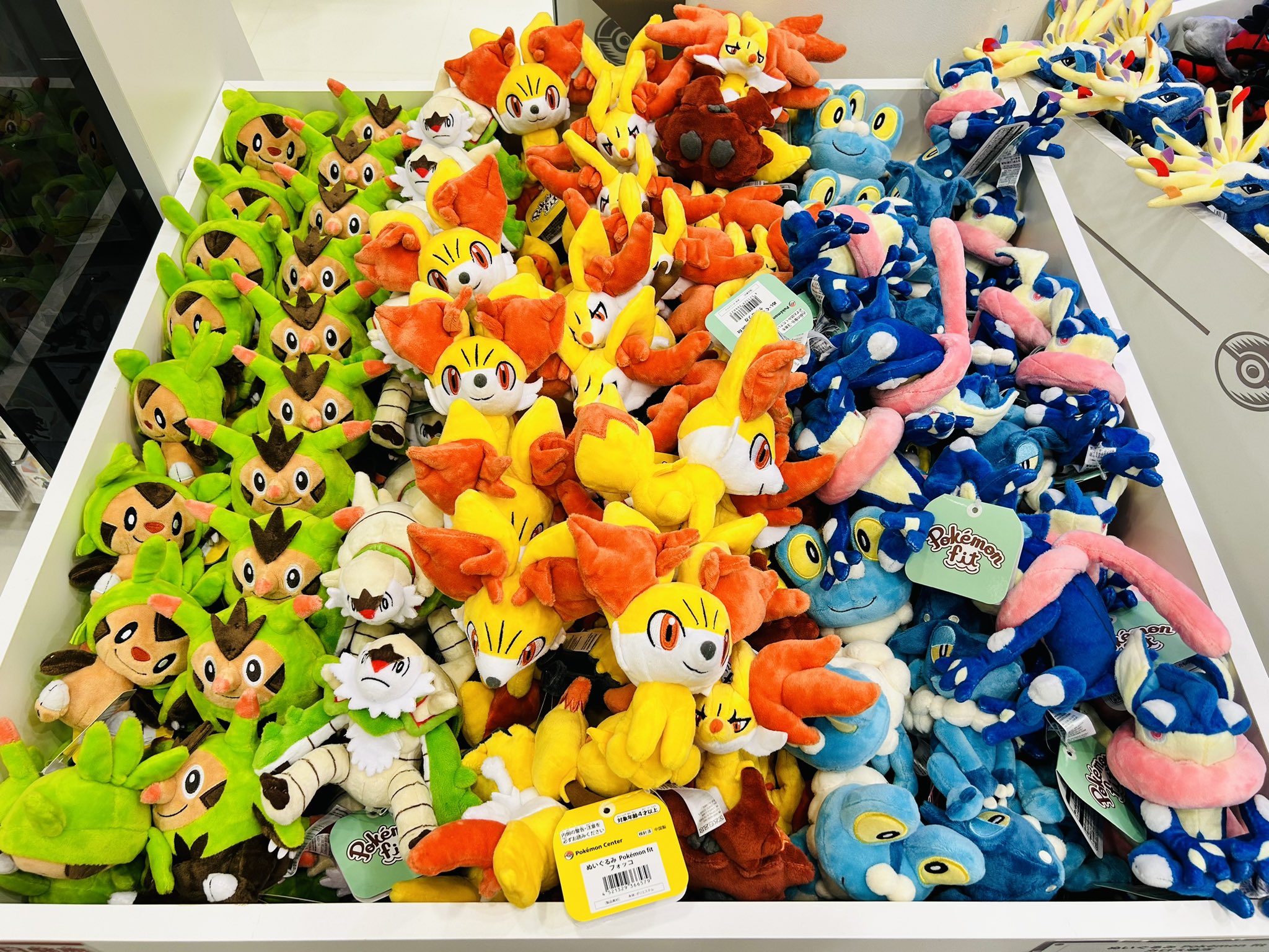 Kalos Starter Wallpaper