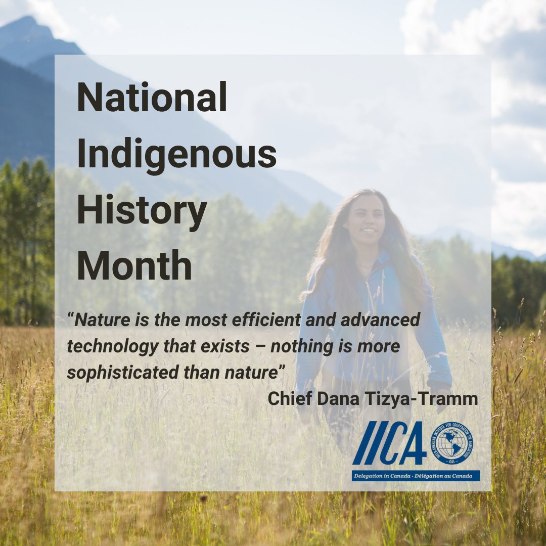 Canadian Indigenous Quotes Indigenous Queerness Experiences Canada