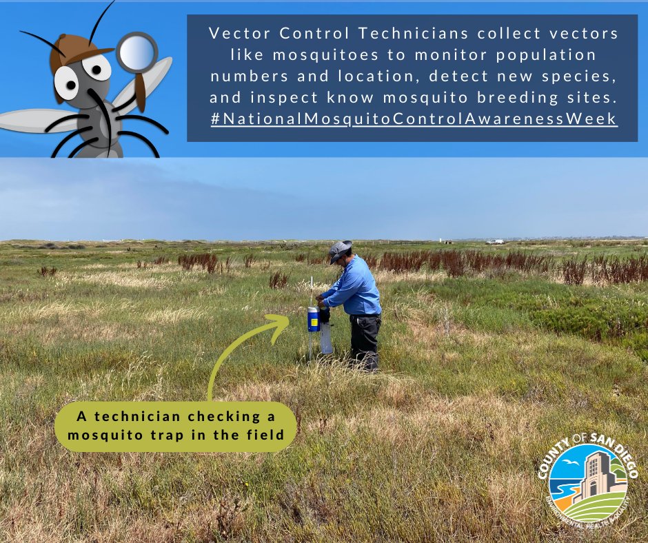 Amazing San Diego Vector Control Pics County Of San Diego Vector