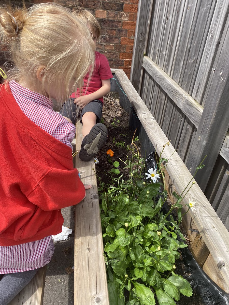 Our Staff - Scarcroft Primary School