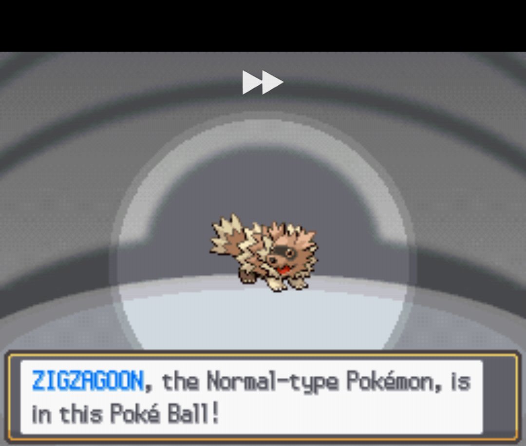 Zigzagoon Evolution Chart