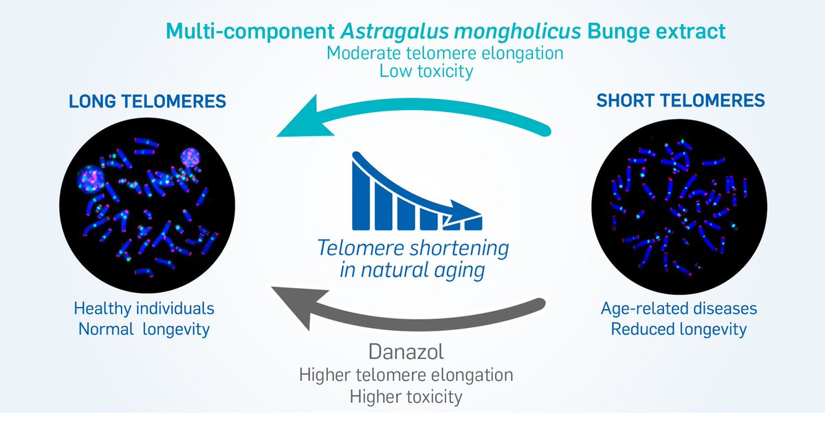 This is one of the most POTENT ANTI-AGING ingredients in the world. It ...