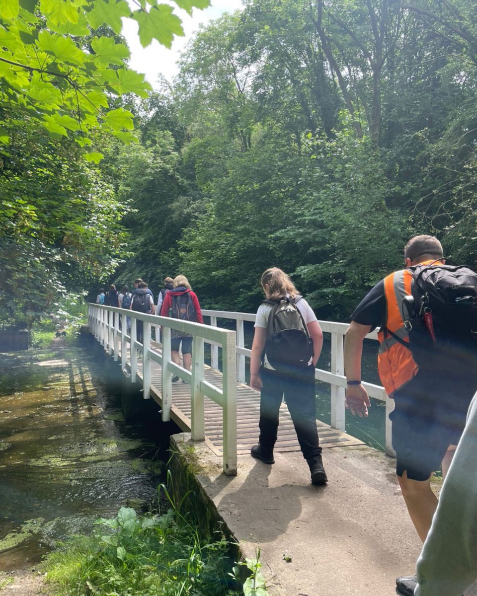 Elements Academy - Elements Academy