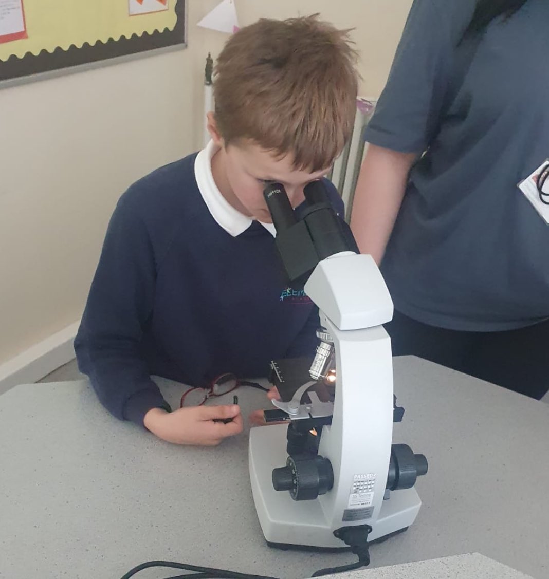 Elements Academy - Elements Academy