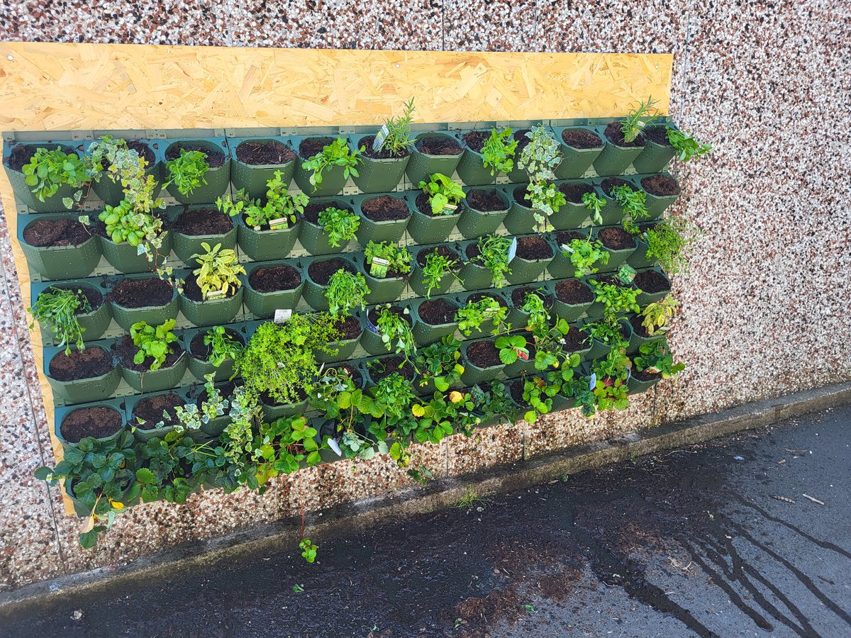 Three Lane Ends Academy