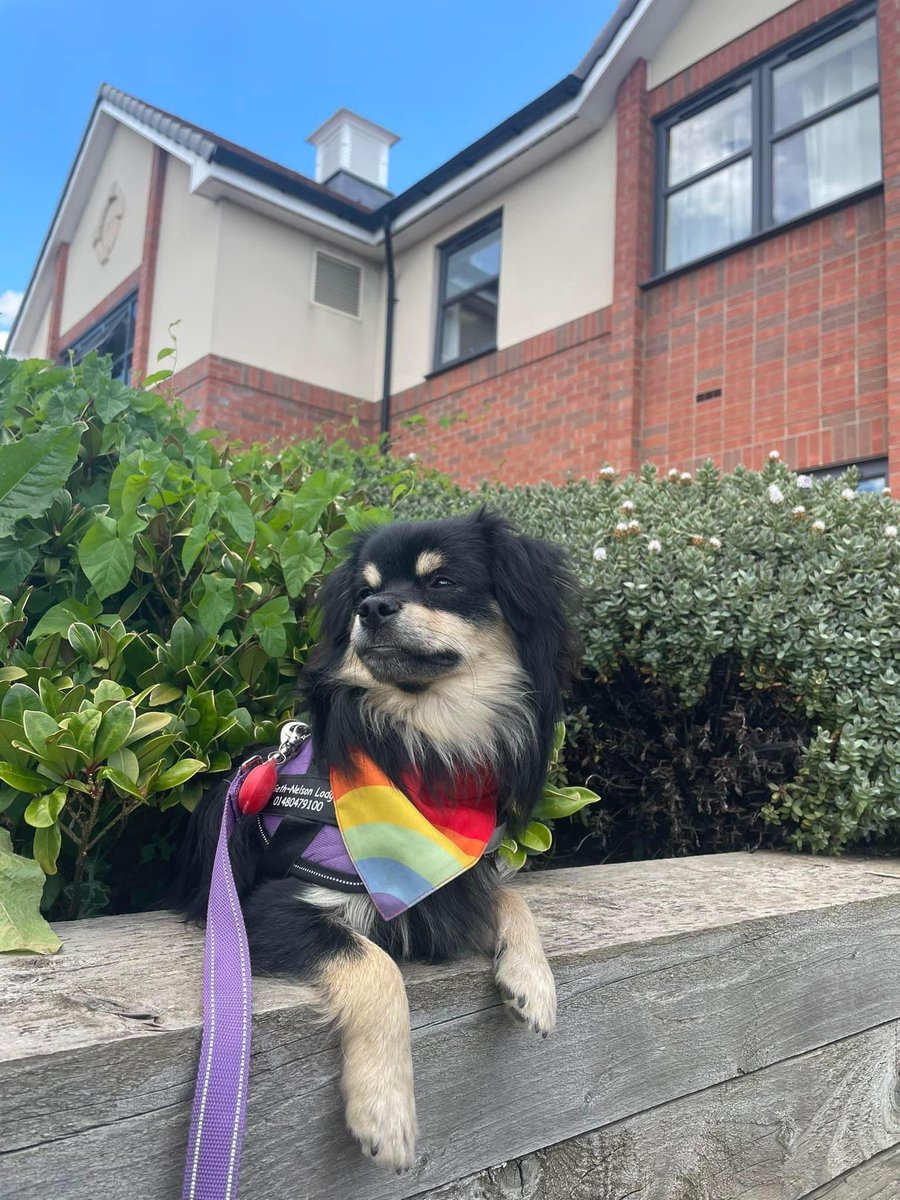 Nelson Lodge care home in Eaton Socon, St Neots | Anchor | Anchor