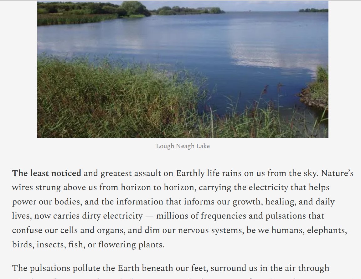 "In Arthur Firstenberg’s groundbreaking book, “The Invisible Rainbow꞉ A ...