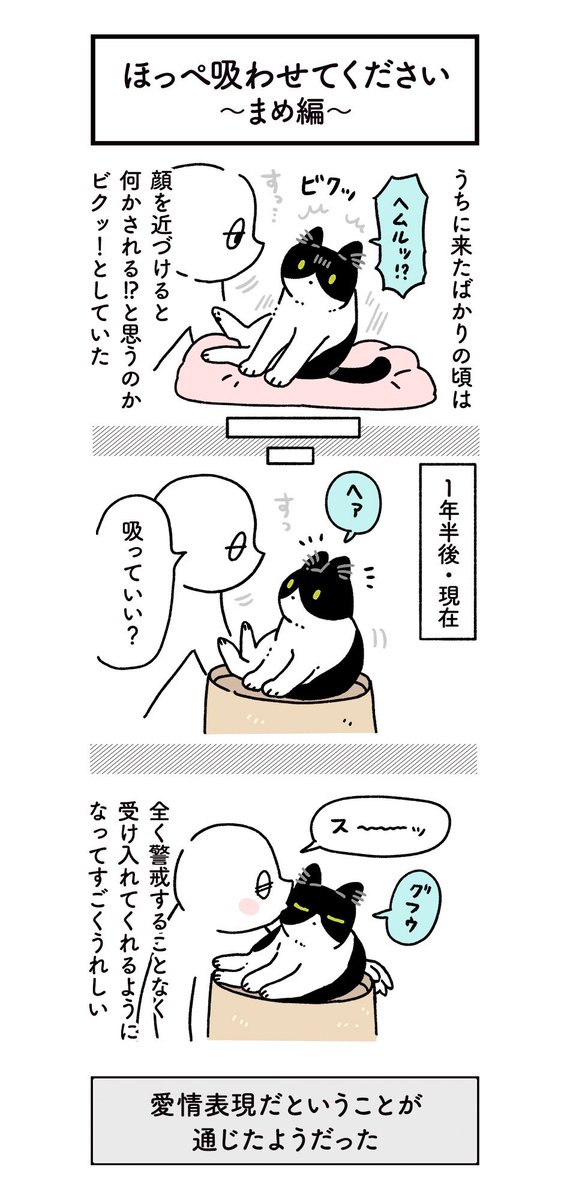 「ねこたちのほっぺたを吸ってる絵日記です①」AKR@6巻でましたの漫画