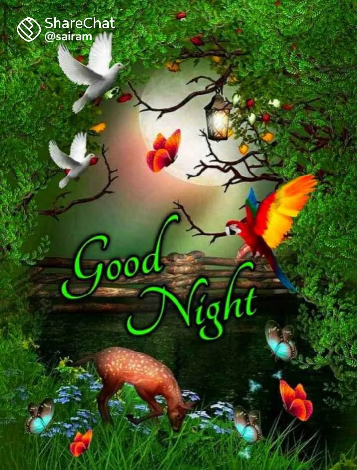Good Night Beautiful Images Of Nature 𝔖😴 𝐺𝑜𝑜𝑑