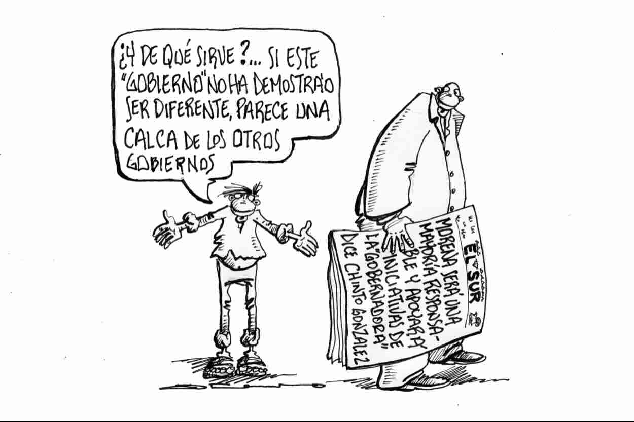 Sepa La Bola Memes Gatos Peludos: Conheça As Raças E Cuidados Com