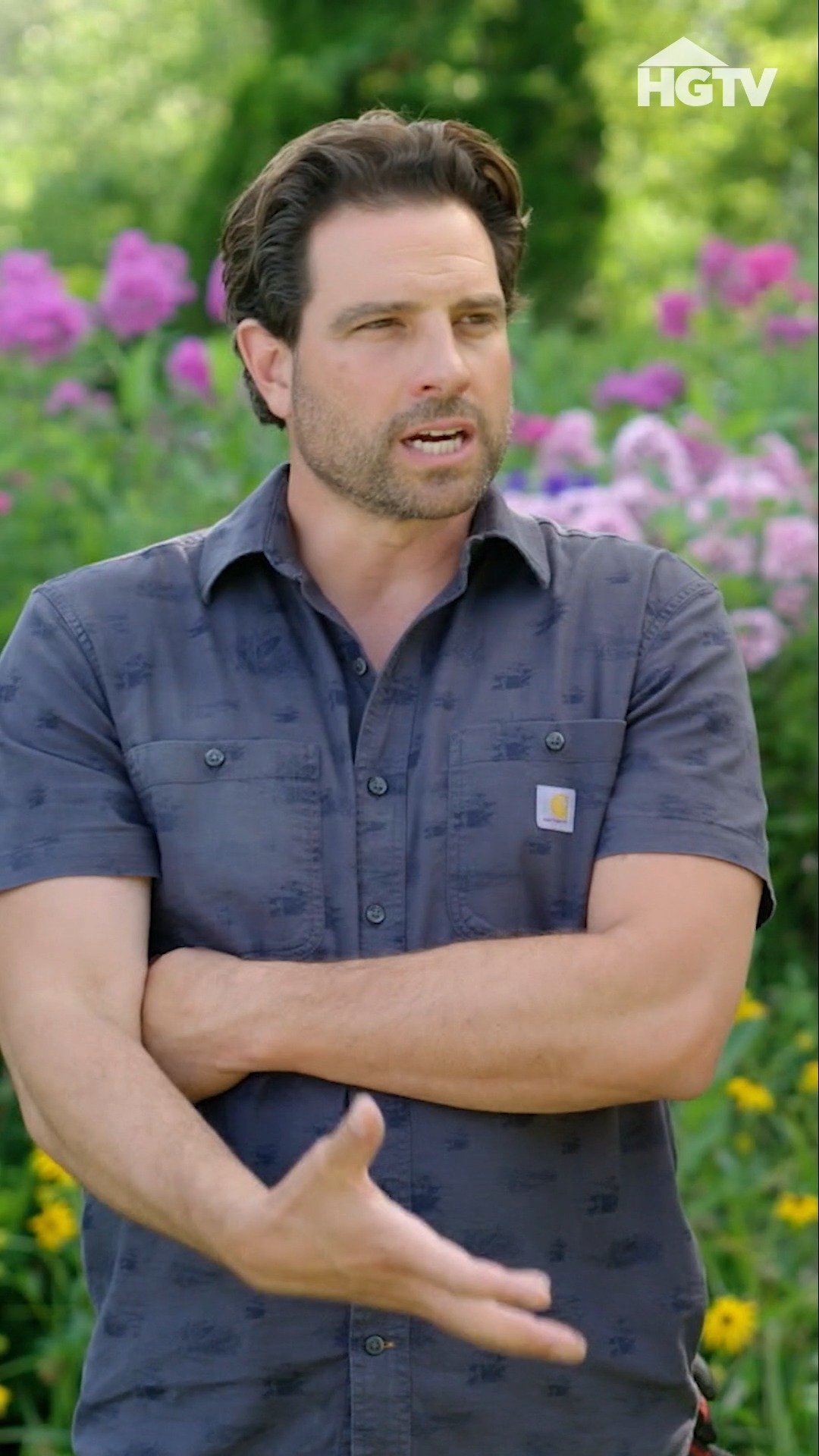 Blue Flowers Hgtv Colourfull Hortensia (hydragea) Flowers In Full