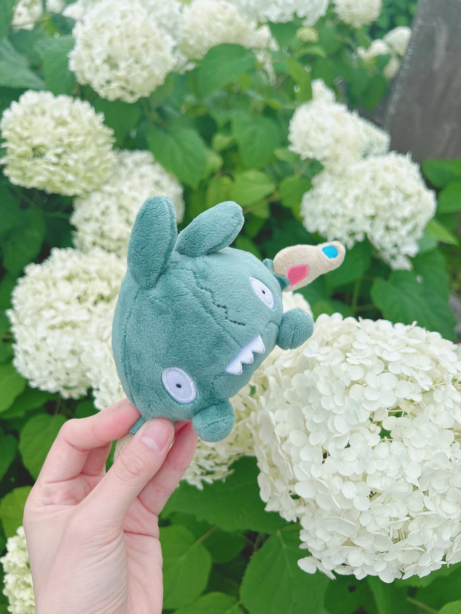 ましろ碧乃【崖っぷちグラドル‼️ぷいぷいたまちゃん】(@tamano_primo) さんの裏垢画像・動画 – 裏垢女子ランキングナビ